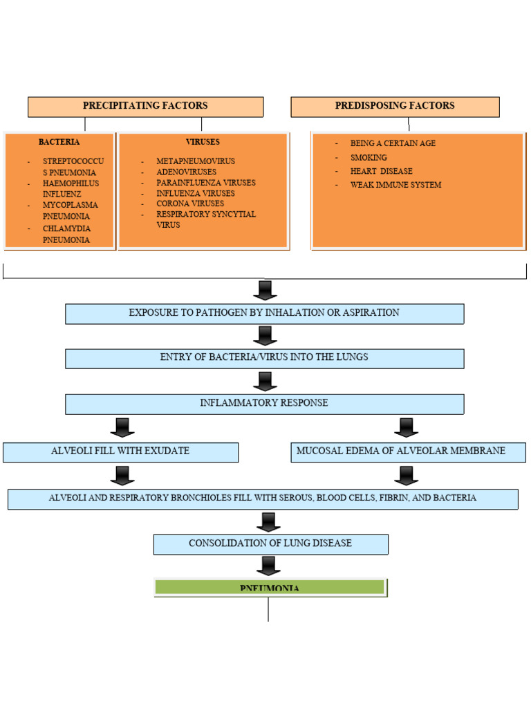Path o Physiology | PDF | Pneumonia | Medicine