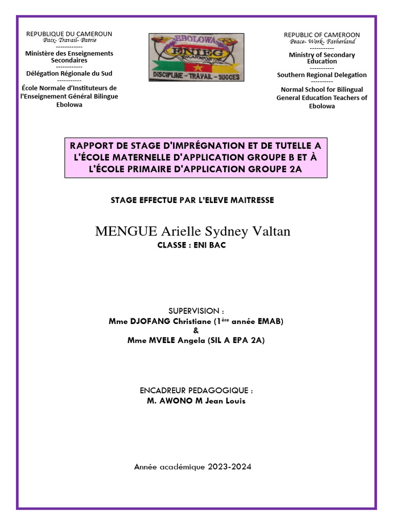 Rapport de Stage à l'École Primaire | PDF