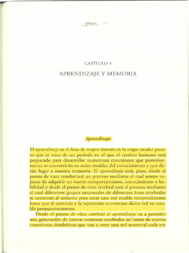 Aprendizaje Y Memoria Pdf Memoria Aprendizaje