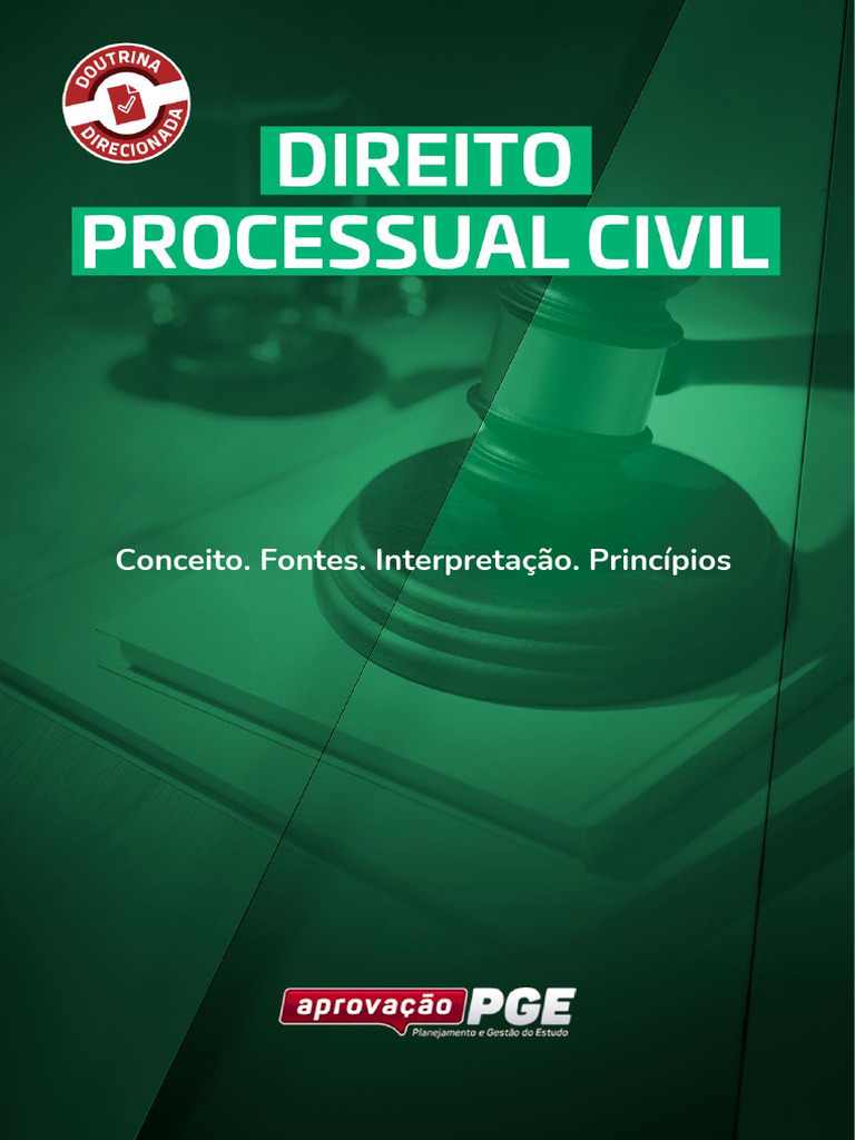 DIREITO PROCESSUAL CIVIL Conceito Fontes Interpretação Princípios | PDF ...