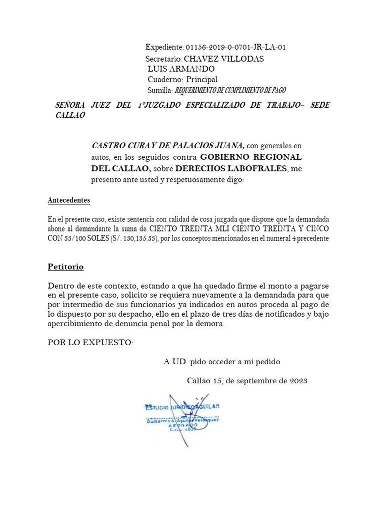 Requerimento de Pago Castro Curay de Palacios Juana | PDF