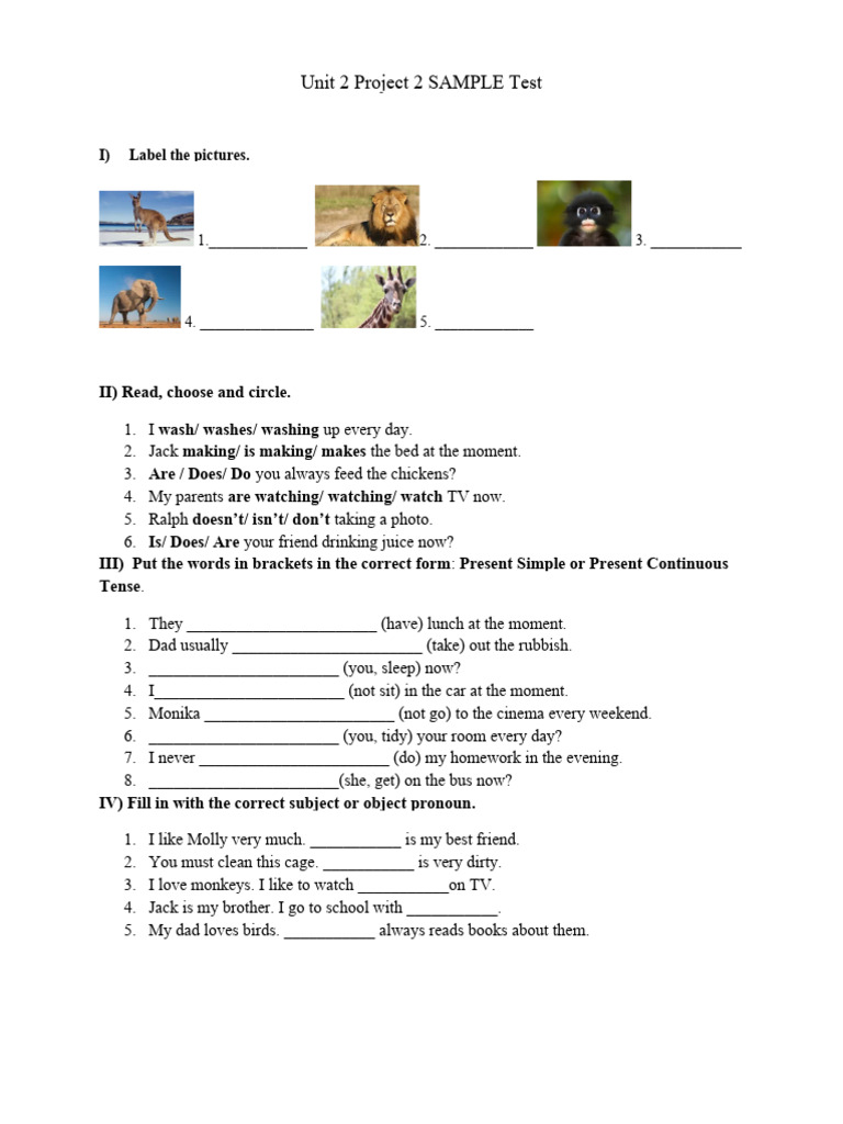 Project 2 Unit 2 Sample Test Pdf Dinner