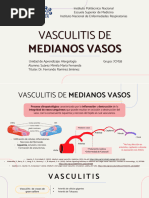 Exploración Física de la Región Inguinal | PDF | Examen físico | Pierna ...