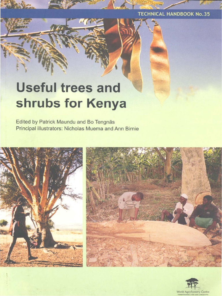 Useful Trees and Shrubs For Kenya PDF | PDF
