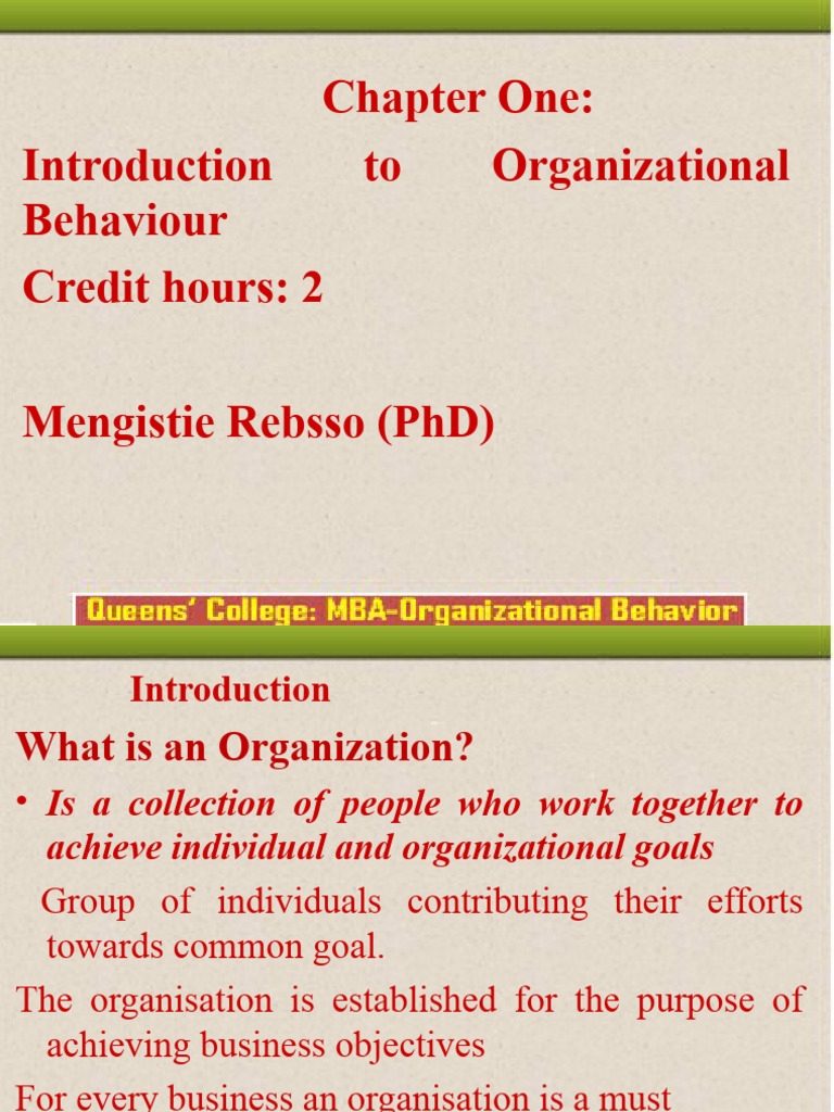 Organizational Behaviour | PDF