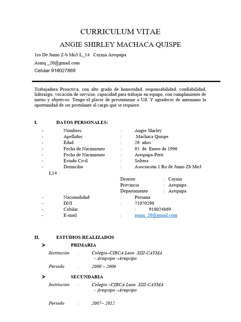 Curriculum Vitae ANGIE | PDF | Business
