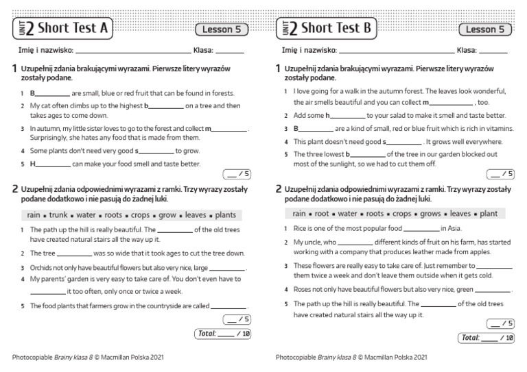Brainy kl8 Short Tests Unit 2 Lesson 5 | PDF