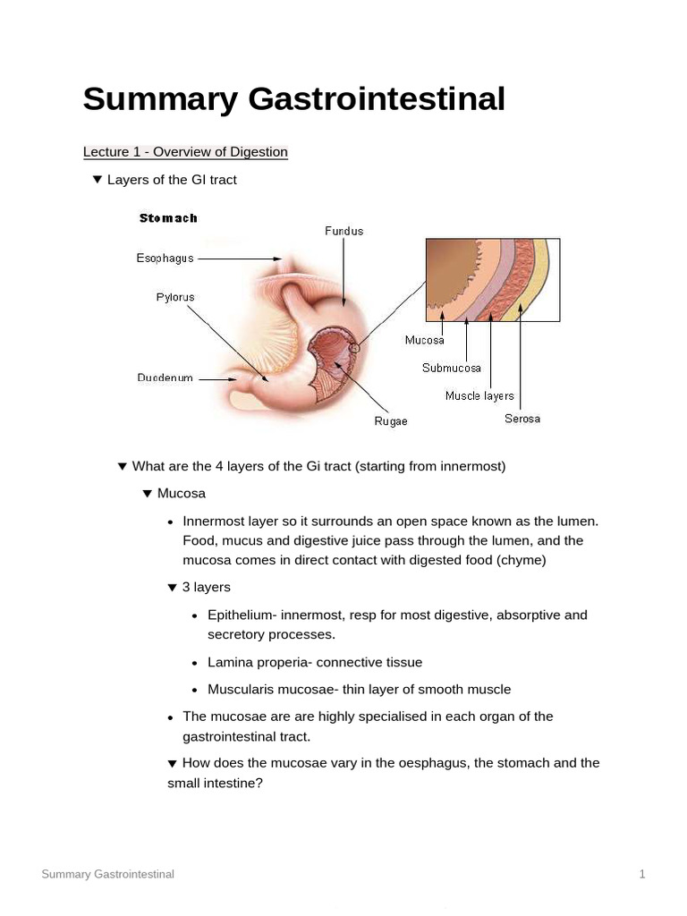 Summary Gastrointestinal Lecture Notes | PDF