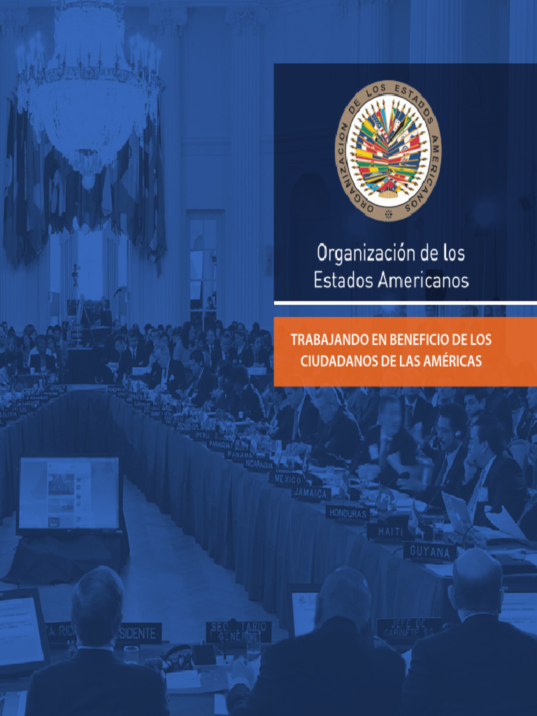 Oas Brochure 2013 Es | PDF | Gobierno