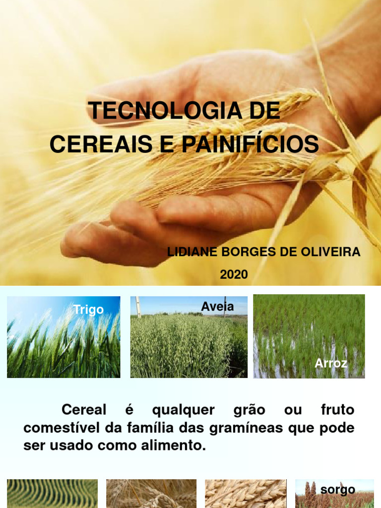 Aula 1 - Trigo | PDF | Trigo | Glúten