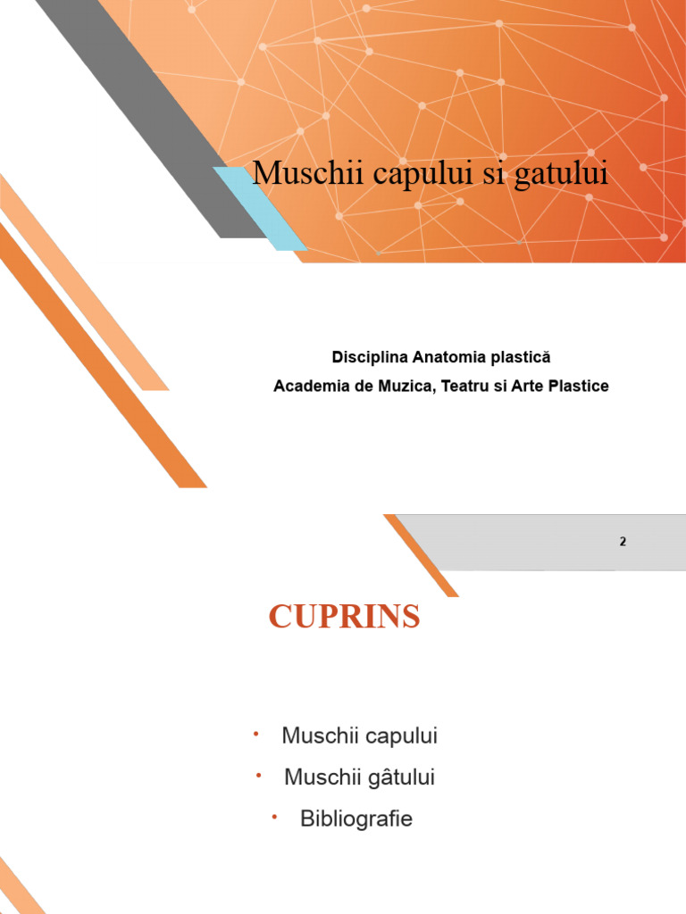 Muschii Capului Si Gatului Power Point | PDF