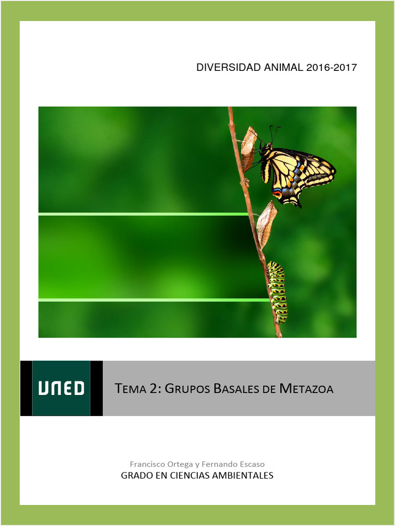 T02 TXT Porifera | PDF