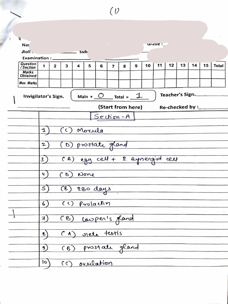 How To Write in Board | PDF