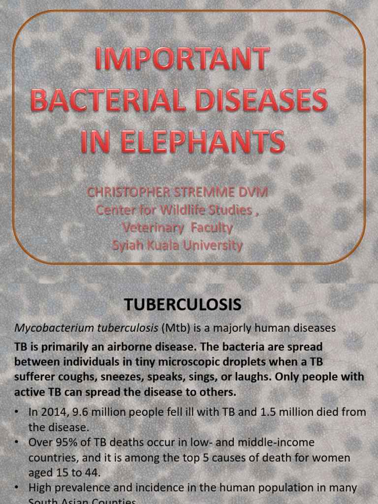 Bacterial and viral diseases in elephants[2] | PDF