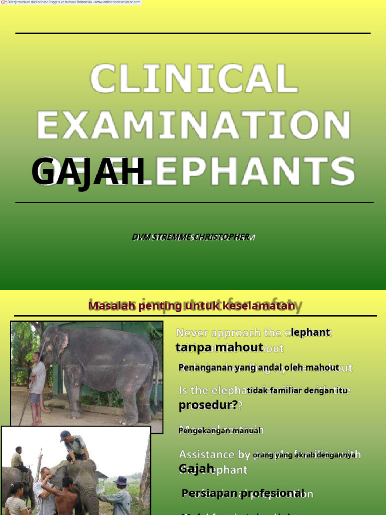Clincal Examin..en - Id | PDF
