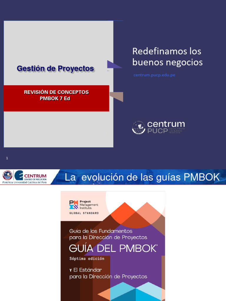 PRESENTACION PMBOK 7ma Edicion | PDF | Informática | Business