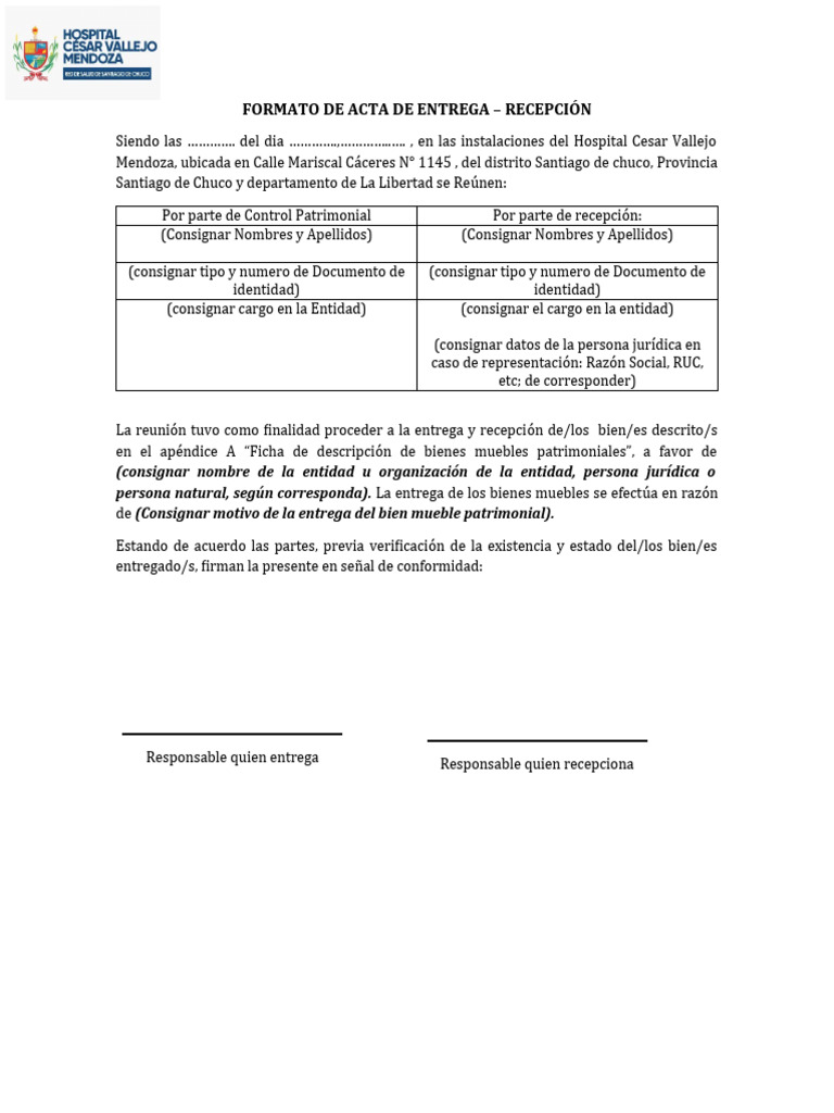 FORMATO DE ACTA DE ENTREGA - RECEPCION | PDF