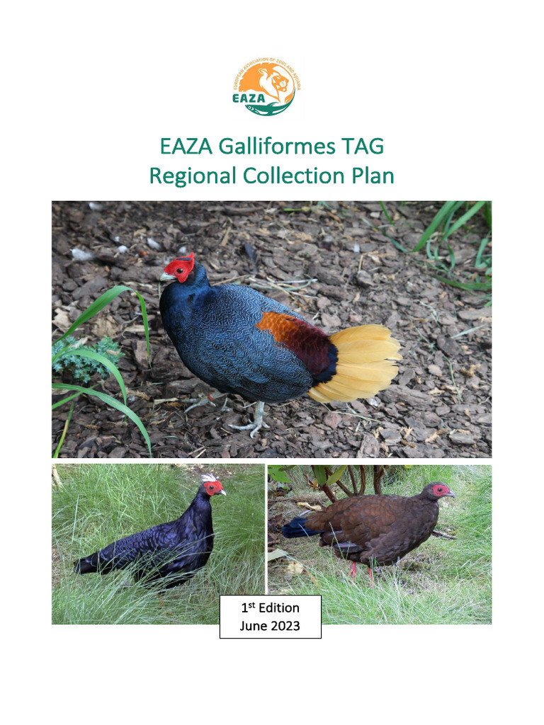 EAZA Galliformes Regional Plan 2023 | PDF