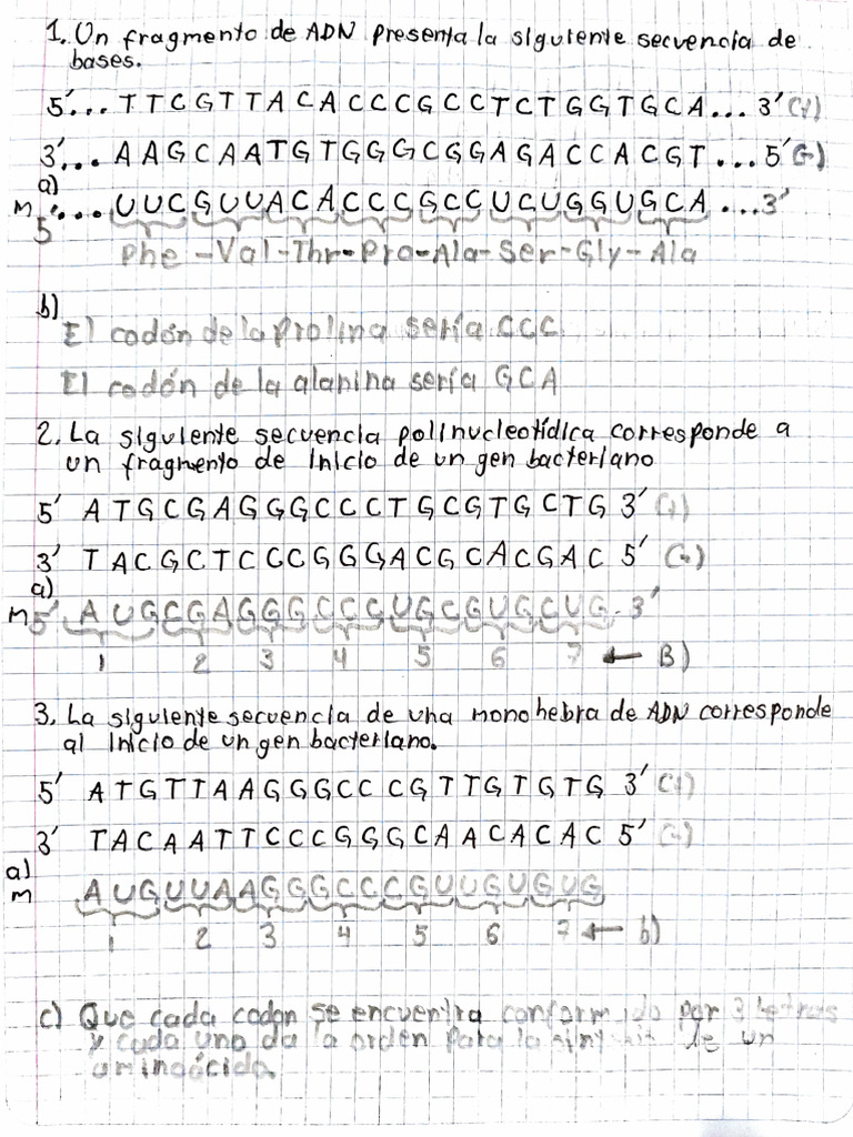Ejercicios Transcripción Traducción Pdf