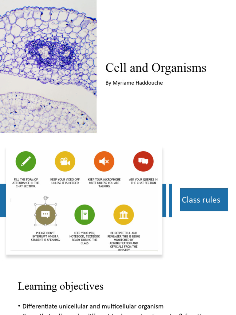 Chapter 2- Section 1- Cell & Organism | PDF