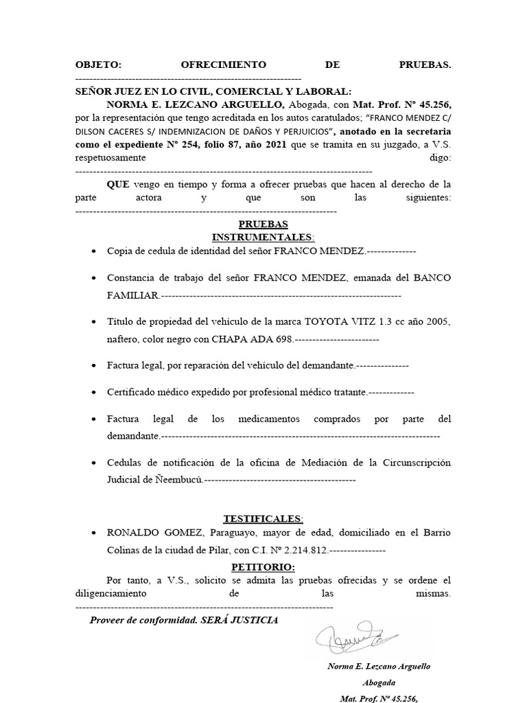 Modelo De Ofrecimiento De Pruebas Pdf