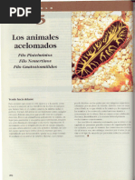 DELTISONA B 4 40mg Prospecto Paciente | PDF | Alergia | Asma