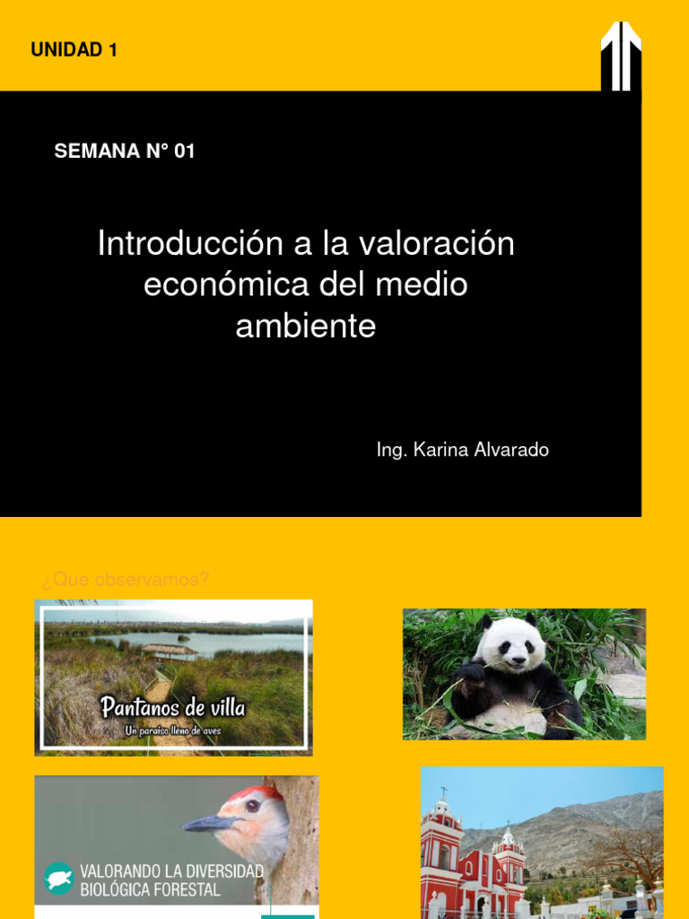 SEMANA 1 Introduccion A La Valoracion Economica | Descargar gratis PDF | Biodiversidad | Entorno ...