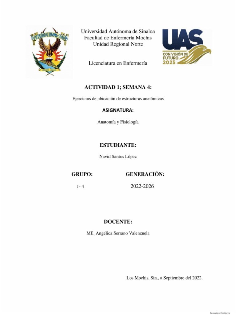 Act 1 Semana 4 | PDF