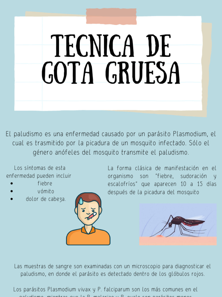 TECNICA de Gota Gruesa | Descargar gratis PDF | Malaria | Plasmodium