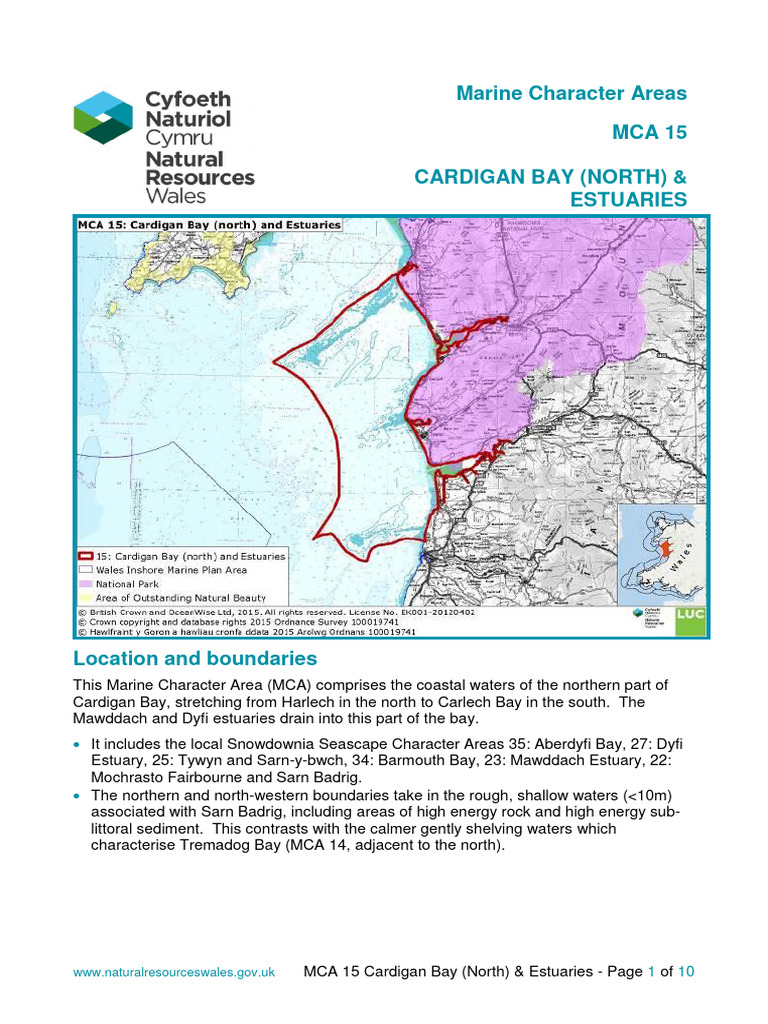 Mca 15 Cardigan Bay North and Estuaries - Final | PDF