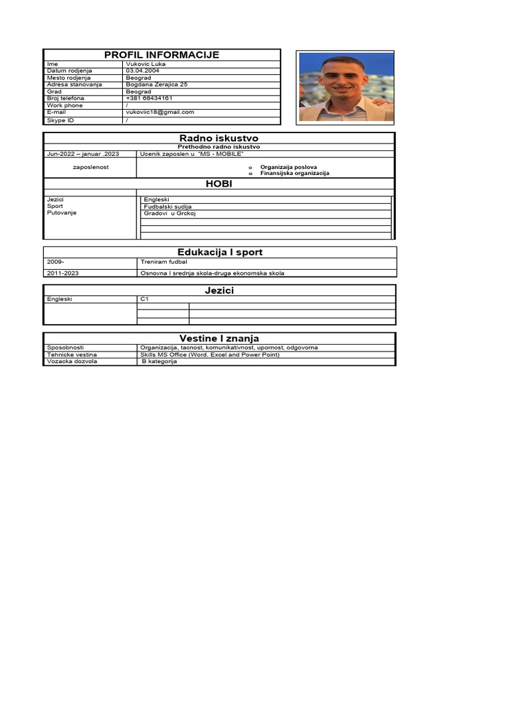 CV Luka Vukovic | PDF