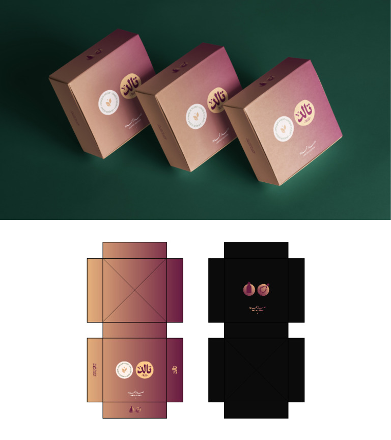 Taled Premium Box | PDF