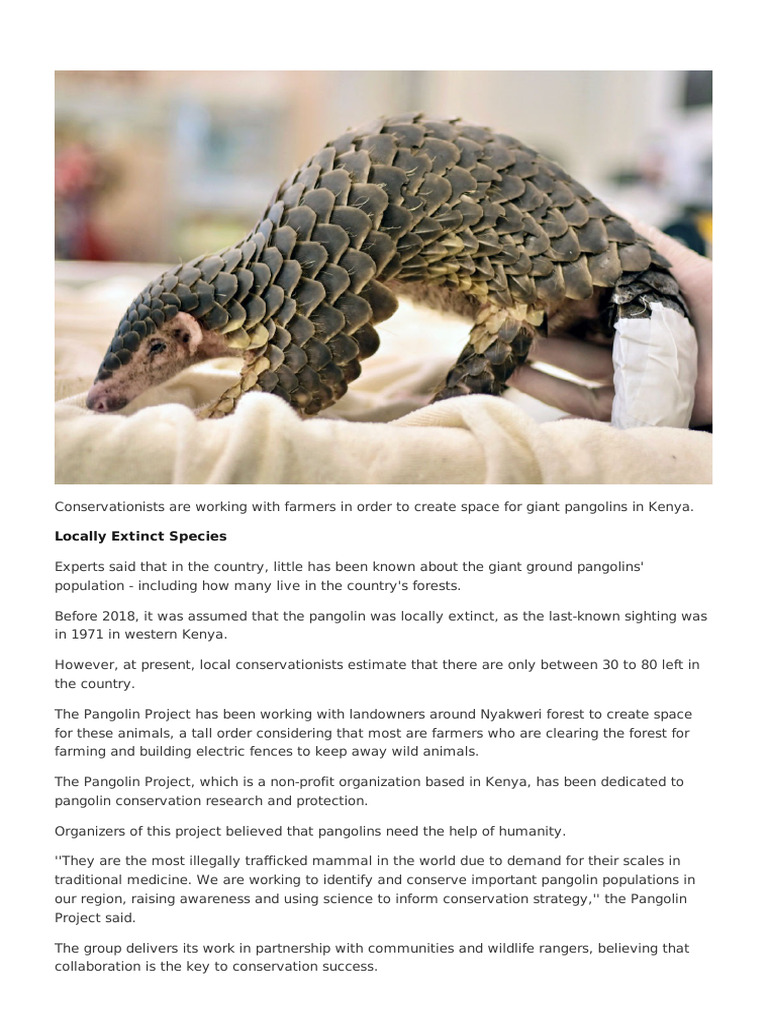 Kenya Conservationists Working With Farmers To Create Space For Giant ...