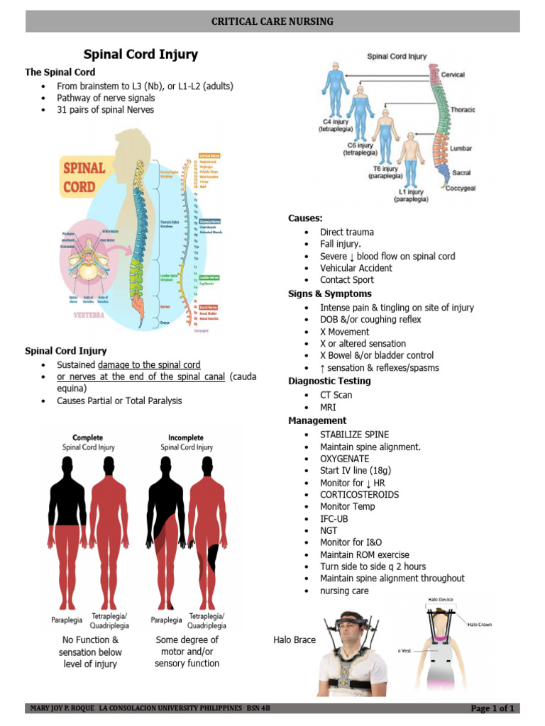 Week 14 Spinal Cord Injury Pdf Spinal Cord Spinal Cord Injury