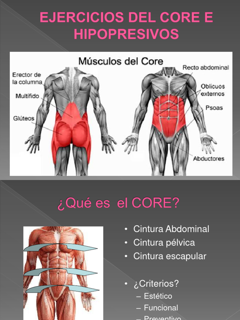 Ejercicios Hipopresivos y Del Core | PDF | La columna vertebral | Pelvis