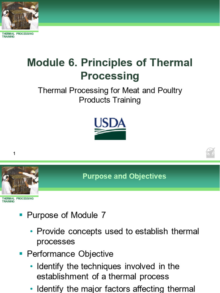 Thermal Processing for Meat & Poultry | PDF | Heat | Convection