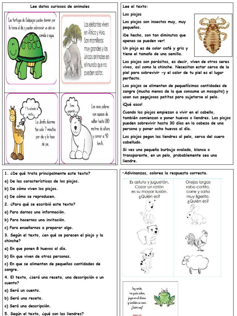 7-Datos Curiosos Sobre Animales | PDF