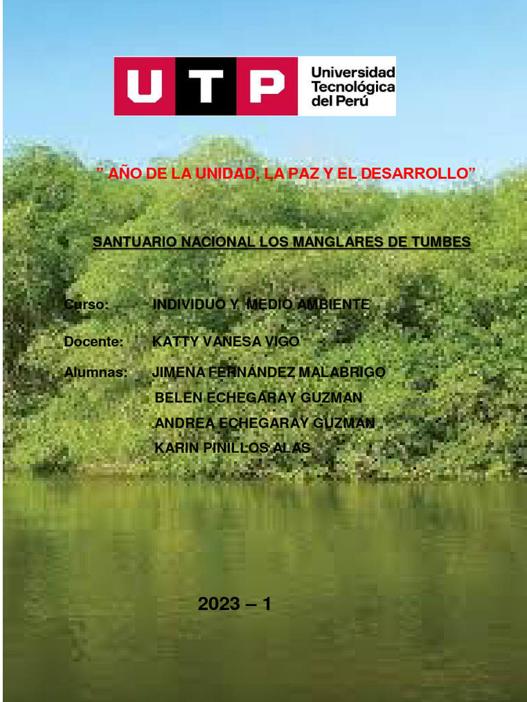 Informe Borrador | PDF