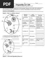 Cell Structures Gizmo - 2023 | PDF | Cell (Biology) | Organelle