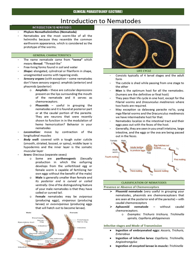 PARA Nematodes | PDF | Nematode | Edema