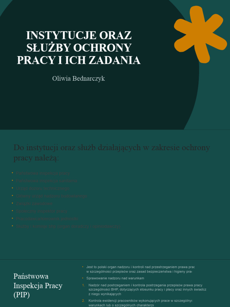Instytucje Oraz Służby Ochrony Pracy I Ich Zadania | PDF