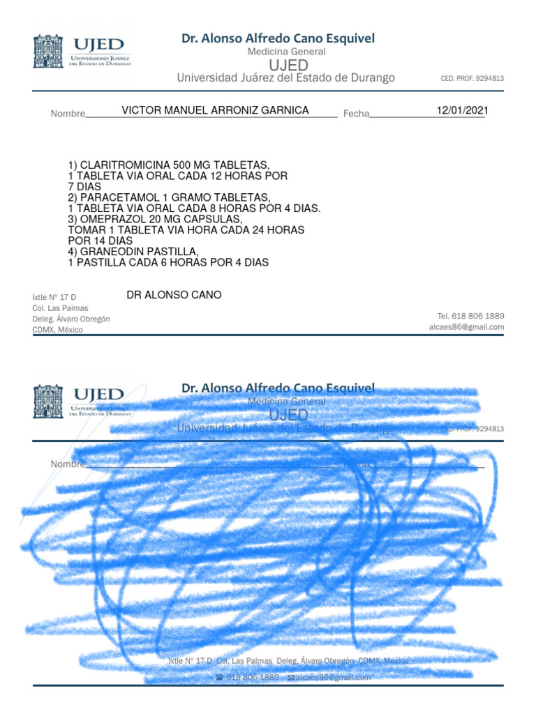 Recetario Alonso Cano | PDF