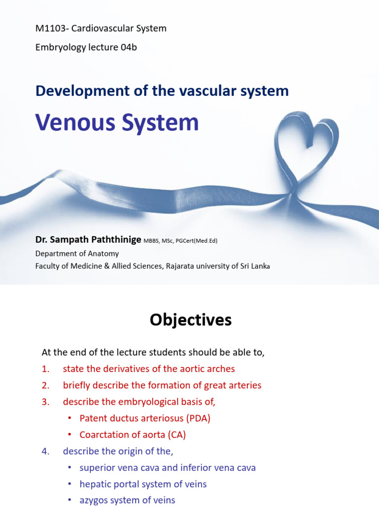 M1103-CVS-E4b-Development of Venous System, Circulation Before and ...