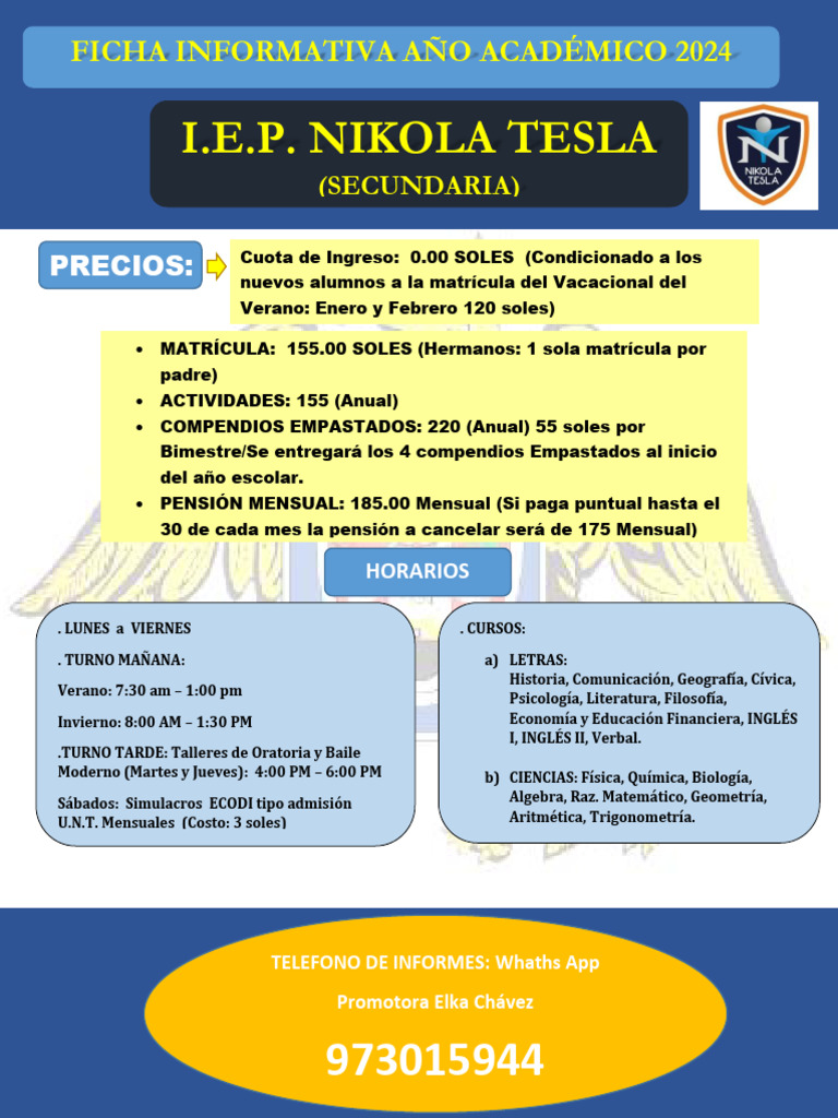 Ficha de Informes Año 2024 | PDF