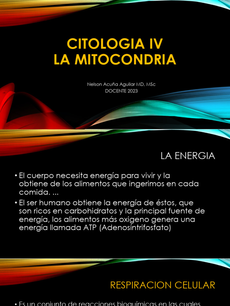 Citologia IV La Mitocondria | PDF | Trifosfato de adenosina | Ciclo del ...