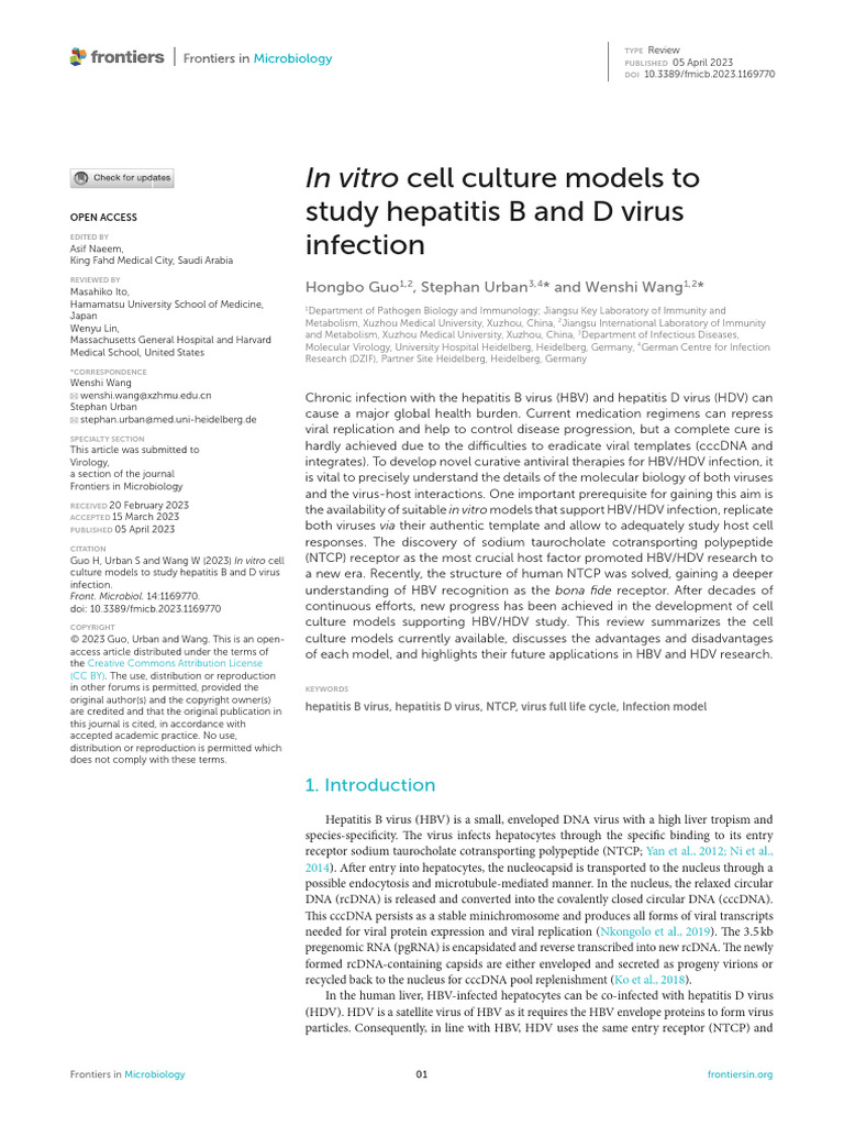 In Vitro Cell Culture Models To Study Hepatitis B | PDF | Hepatitis B ...