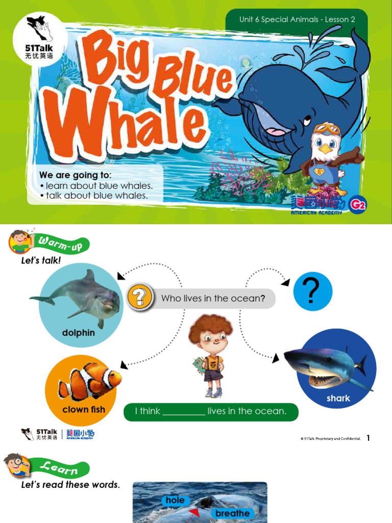 We Are Going To:: - Learn About Blue Whales. - Talk About Blue Whales ...