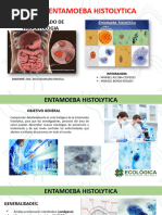 Guía Completa sobre Entamoeba histolytica | PDF | Especialidades ...