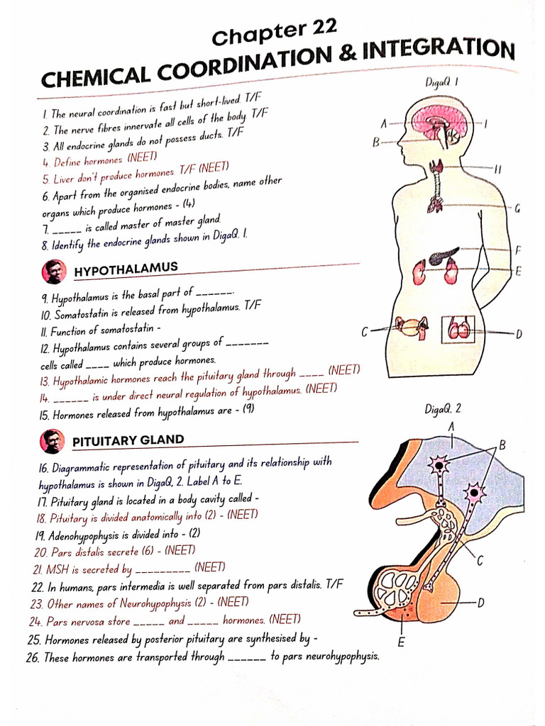 Chemical Control and Coordination | PDF