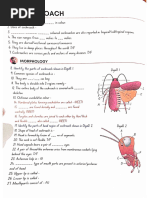 Cockroach Ncert | PDF